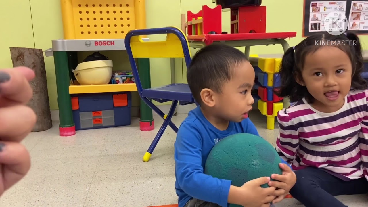 Ens presentem cocodrils - YouTube