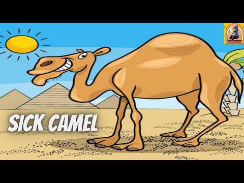 Sick Camel 🐪 in english moral stories for kids fairy tale Bedtime ...