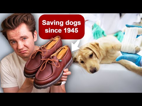 Why $635 “Veterinary” Shoes Exist.
