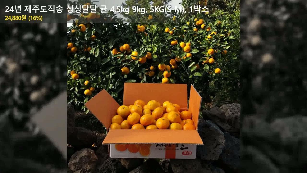 24년 제주도직송 싱싱달달 귤 4.5kg 9kg, 5KG(S-M), 1박스 - YouTube