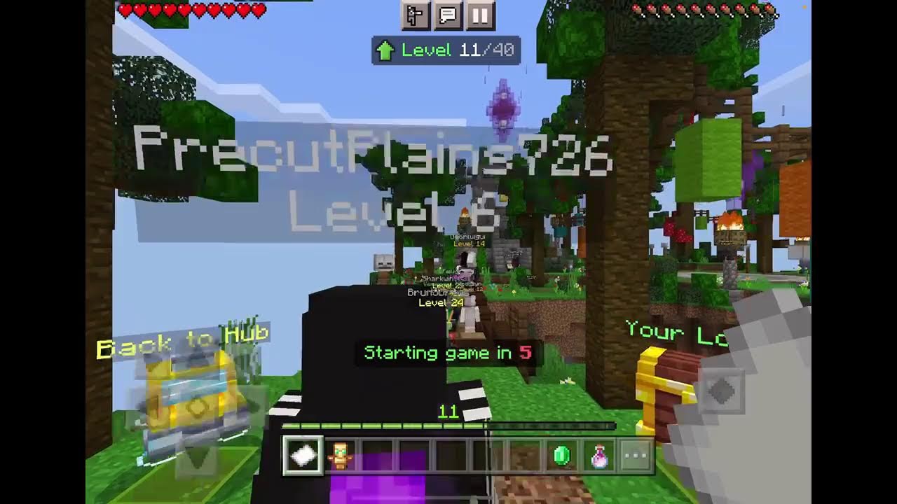 Streaming on the FrogSMP and other Minecraft stuff! - YouTube