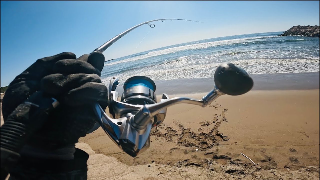 Pesca de Róbalo🔥pesca entre gran CARDUMEN de PECES!! - YouTube