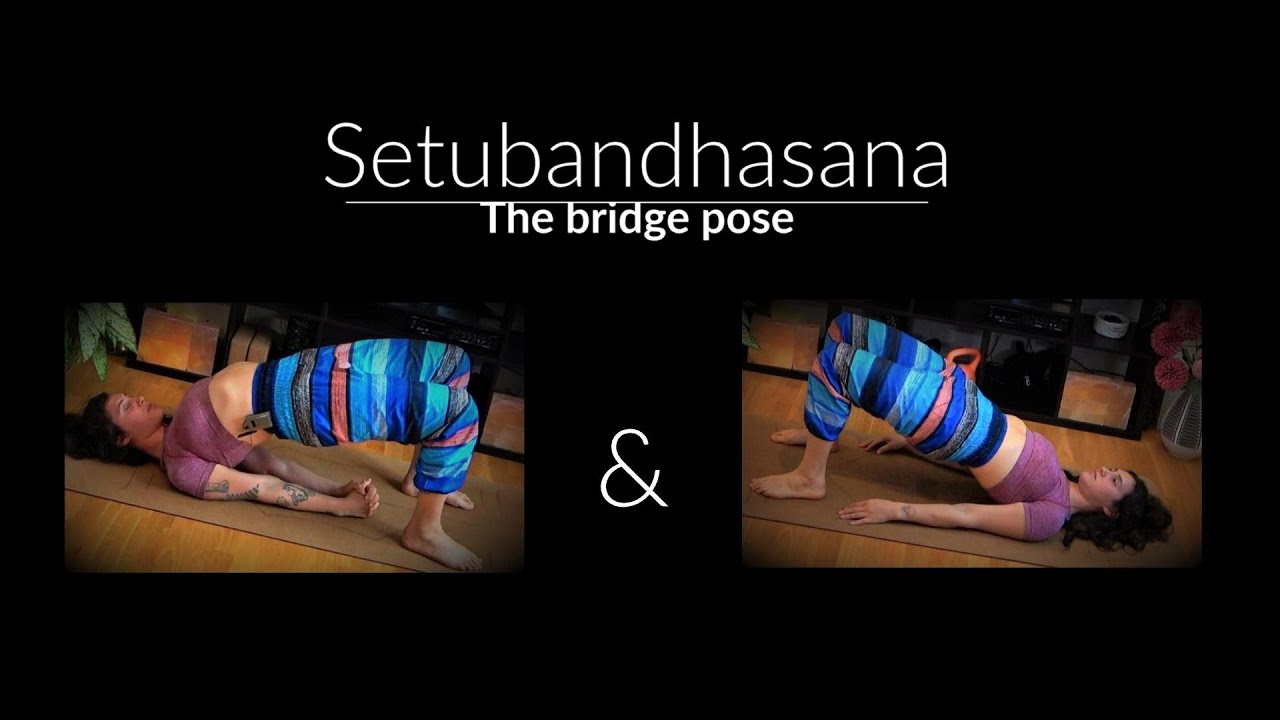 A backbend that also beginners can do - Bridge pose explained ...