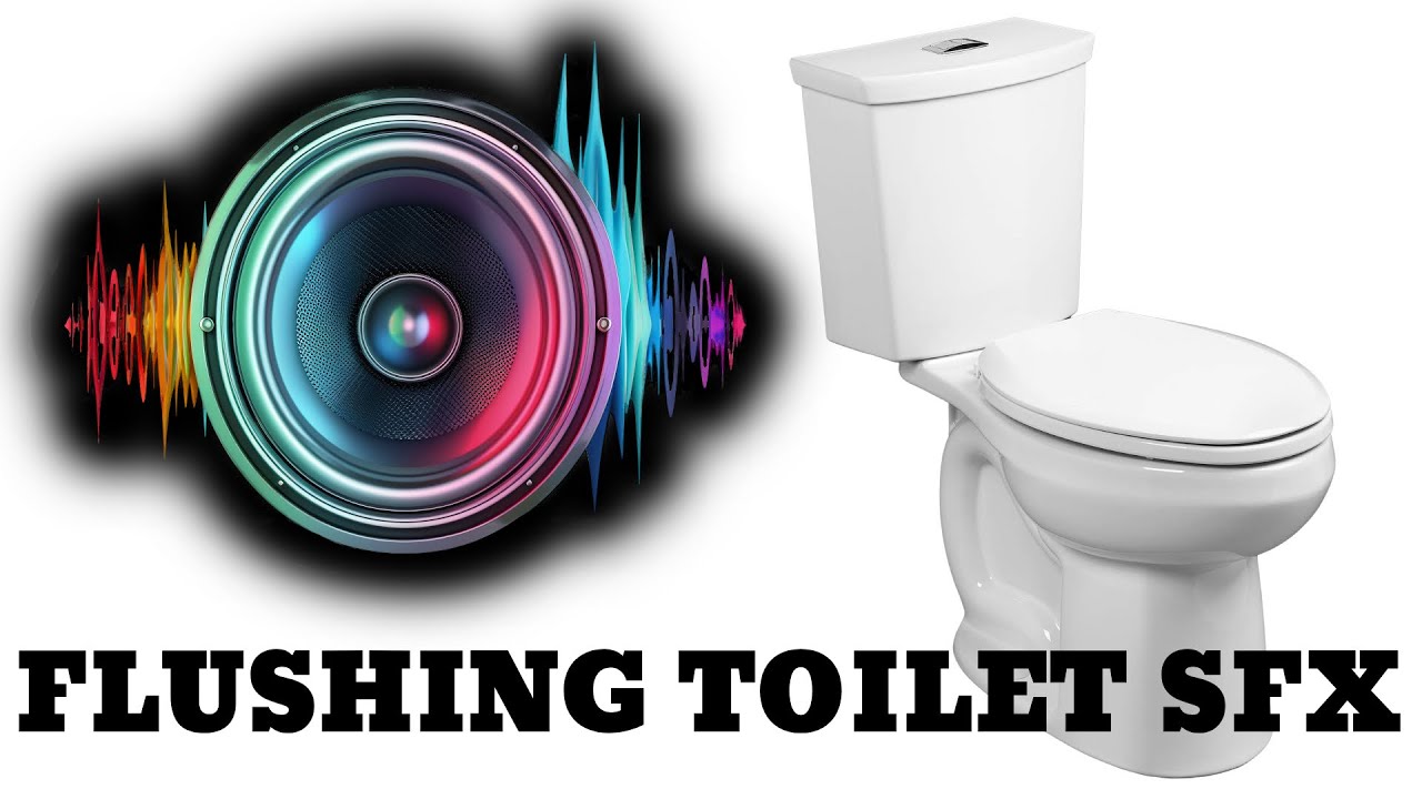 FLUSHING TOILET SOUND EFFECT - Realistic Audio for Your Project - YouTube
