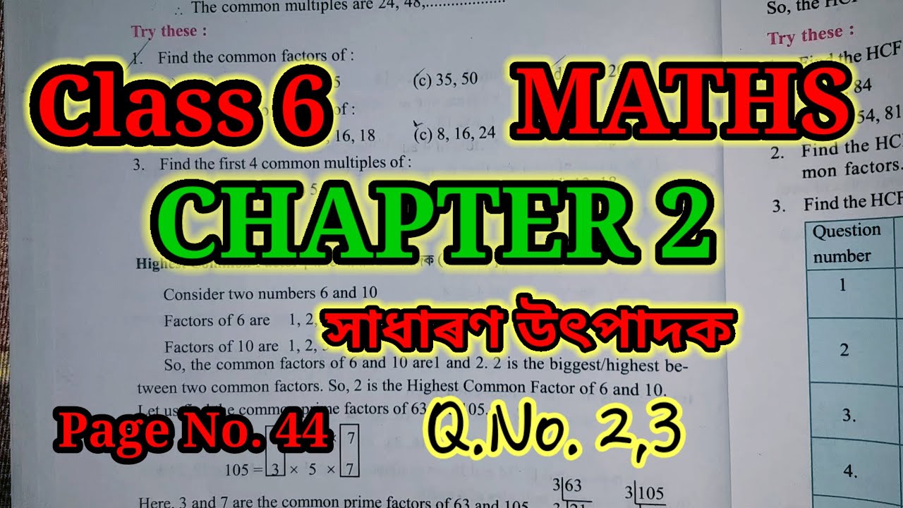 Class 6 | Maths | Exercise 2 | Common factors | Class six mathematics ...