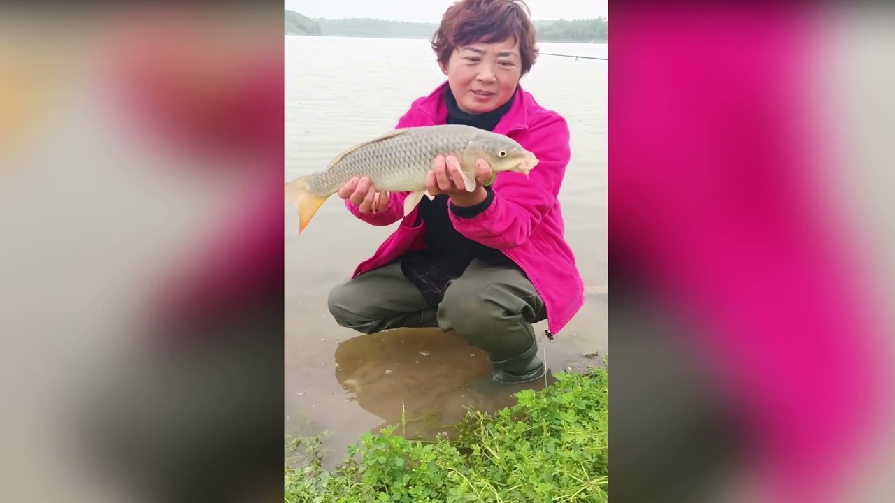 viral fish fishing Amazing fish video - YouTube