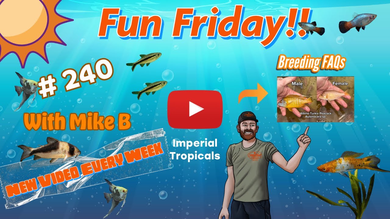 Breeding FAQs - YouTube