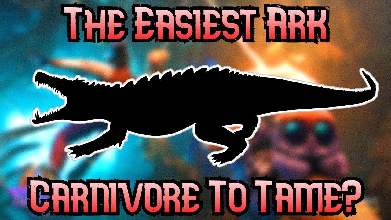 The Top 10 Best Easy Carnivores And Designs! - YouTube