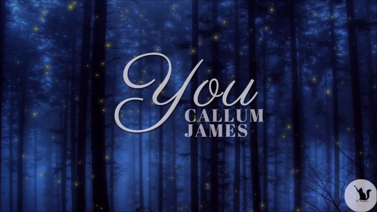 YOU - Callum James ( with lyrics) - YouTube