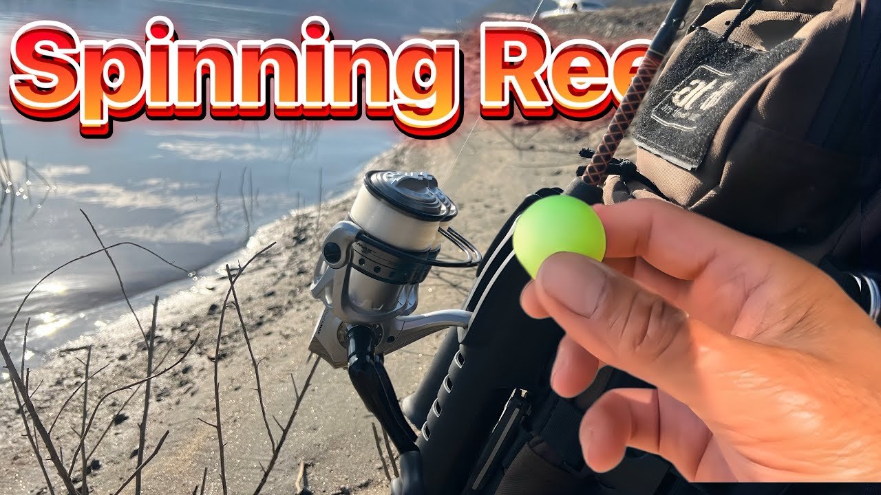 Spinning Reel Basics: A Guide for Beginners! - YouTube