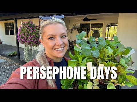 Planting the Winter Garden with Persephone Days in Mind! 🥬🥕🥦 - YouTube