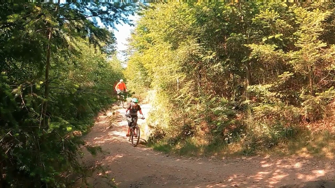 Lisa and Griff on the rocks - YouTube