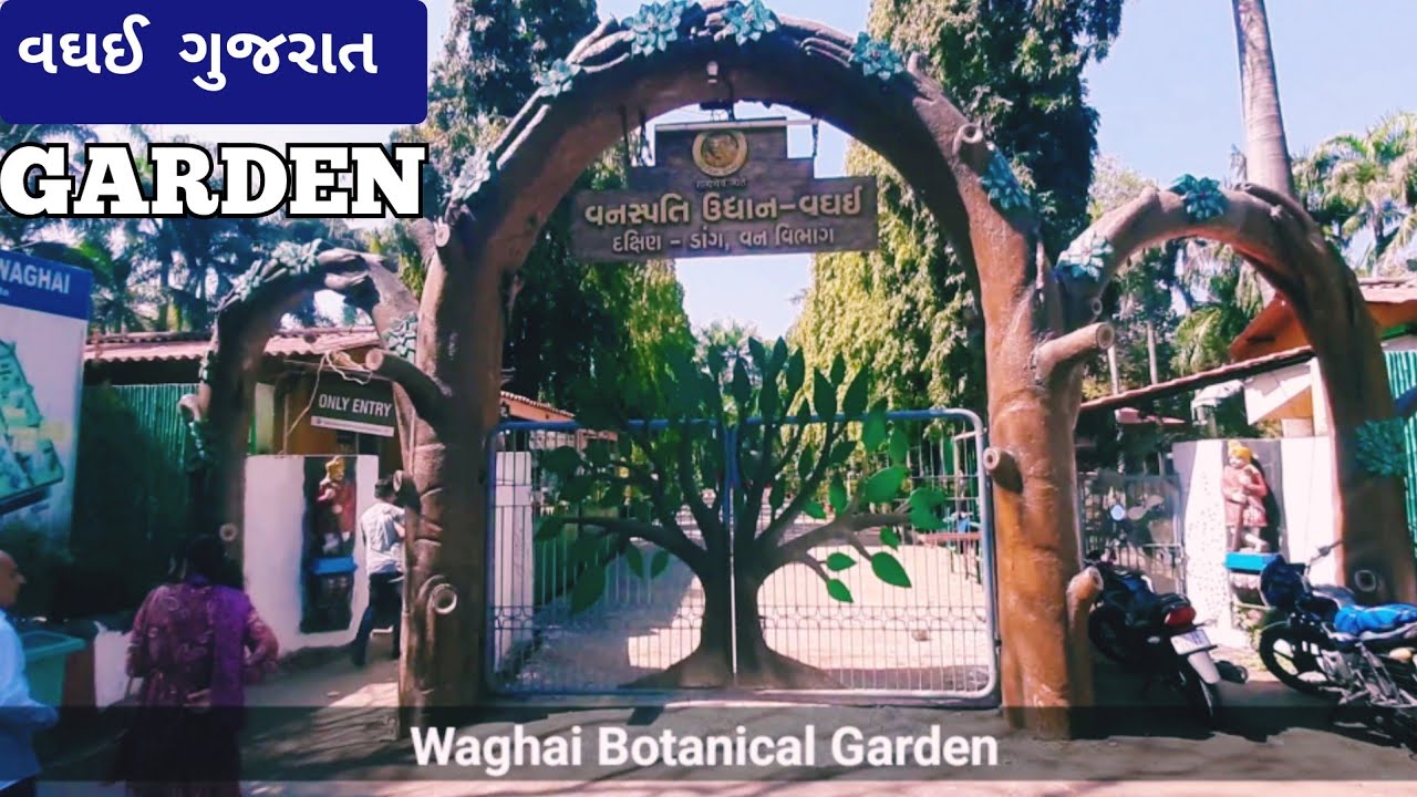Waghai botanical garden Saputara Gujarat : Adventure activities in ...