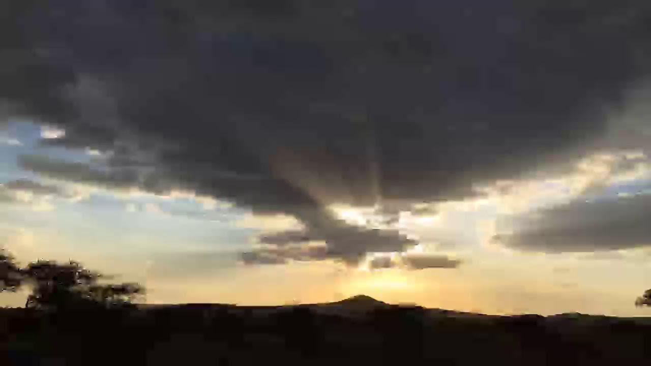 GMC Live Stream Lemala Ewanjan Camp Experience Review Giraffe sunset ...