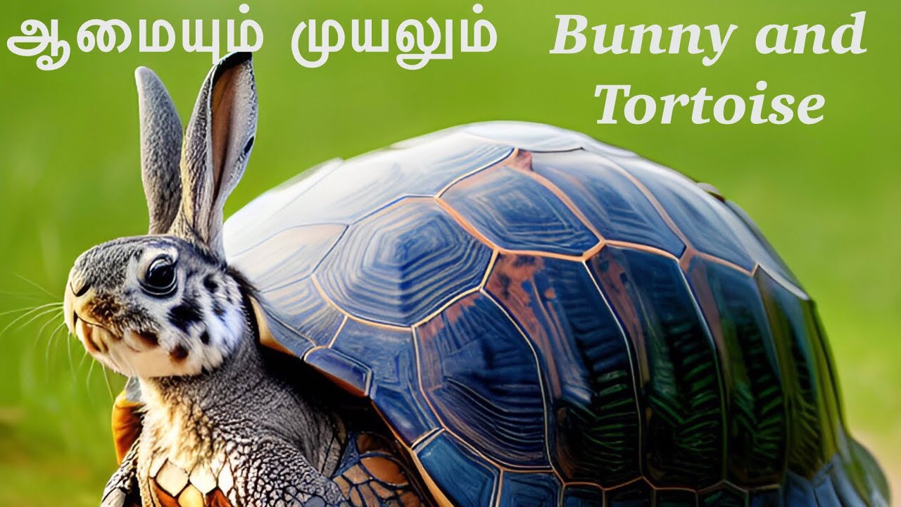 ஆமையும் முயலும் - Bunny and Tortoise - YouTube