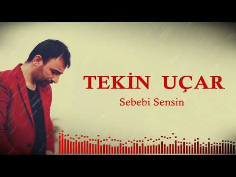 Tekin   Uçar  - Sebebi Sensin