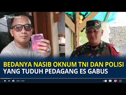Bedanya Nasib Oknum TNI dan Polisi yang Tuduh Pedagang Es Gabus, Ada yang Sudah Kembali Bertugas