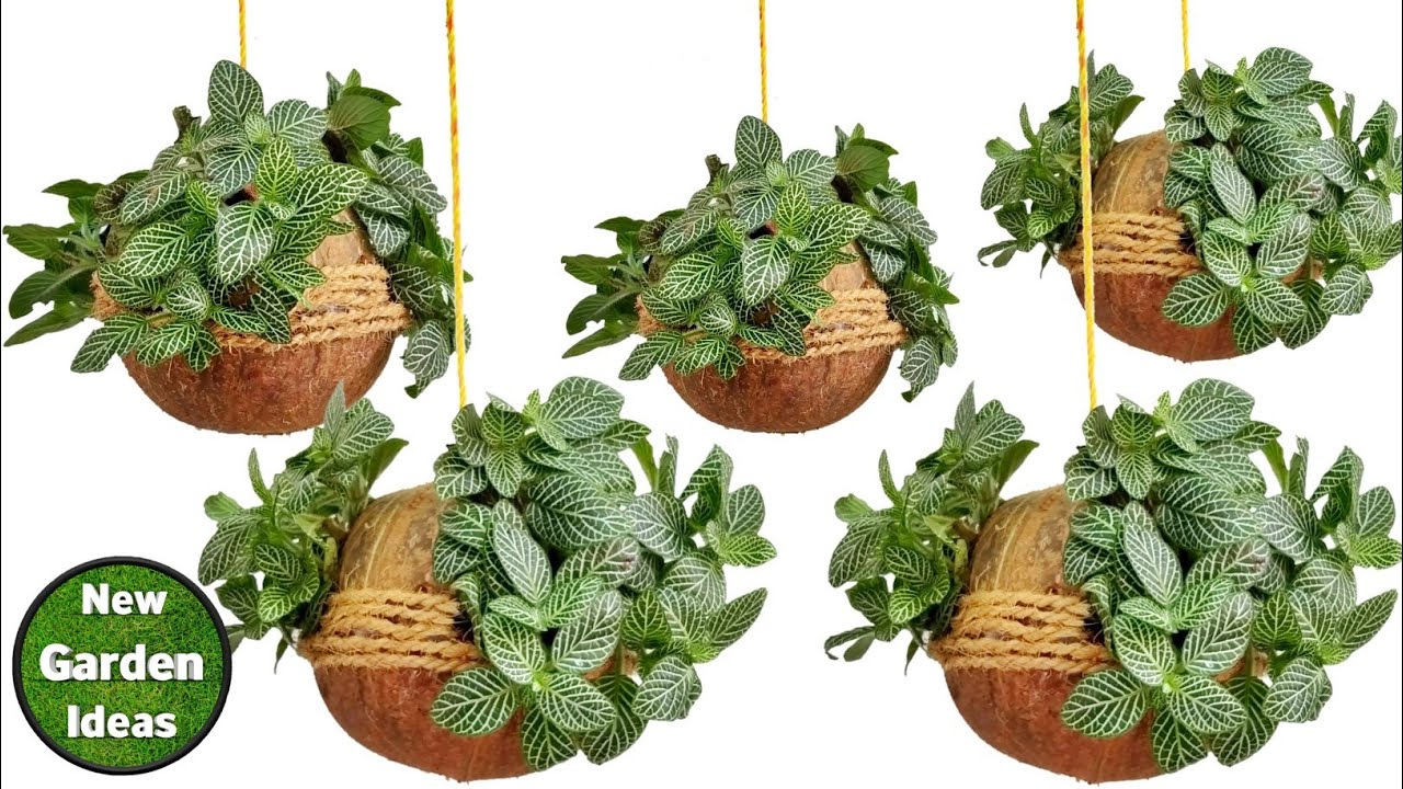 How to Make coconut shell hanging pots//hanging plant pots//vertical ...