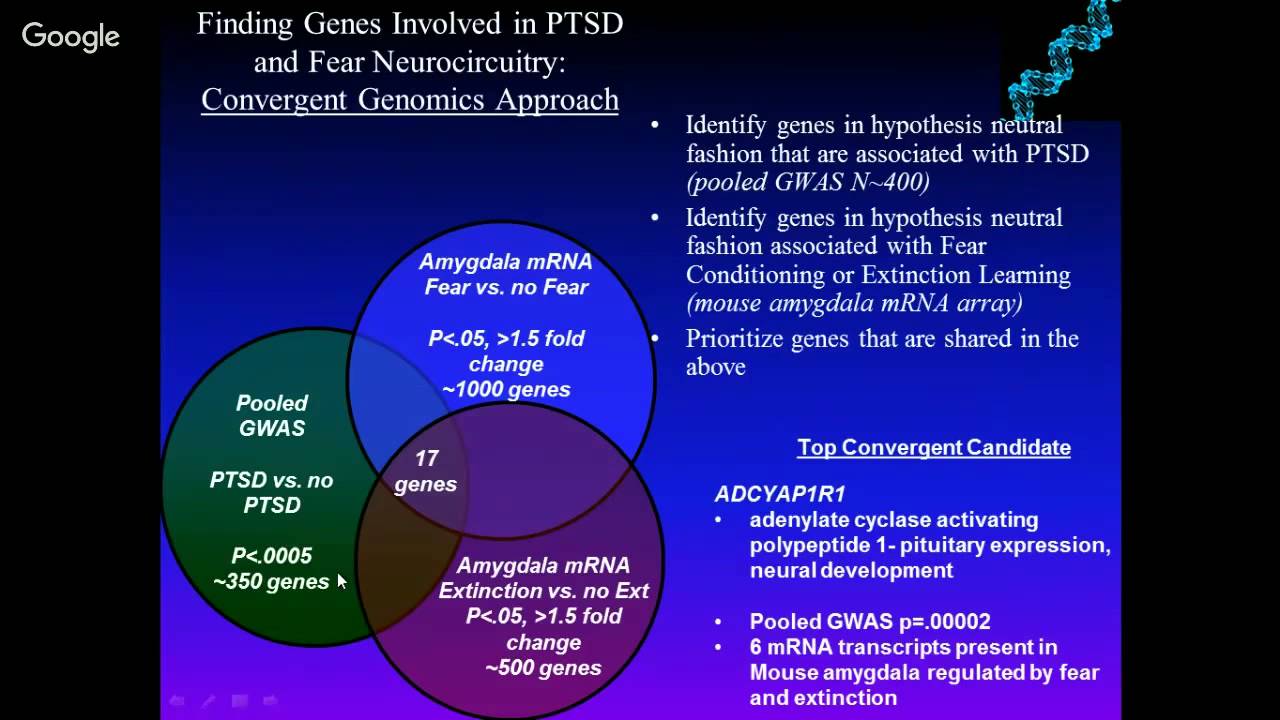 Neural Circuit and Genomic Approaches to PTSD and Fear-Related ...