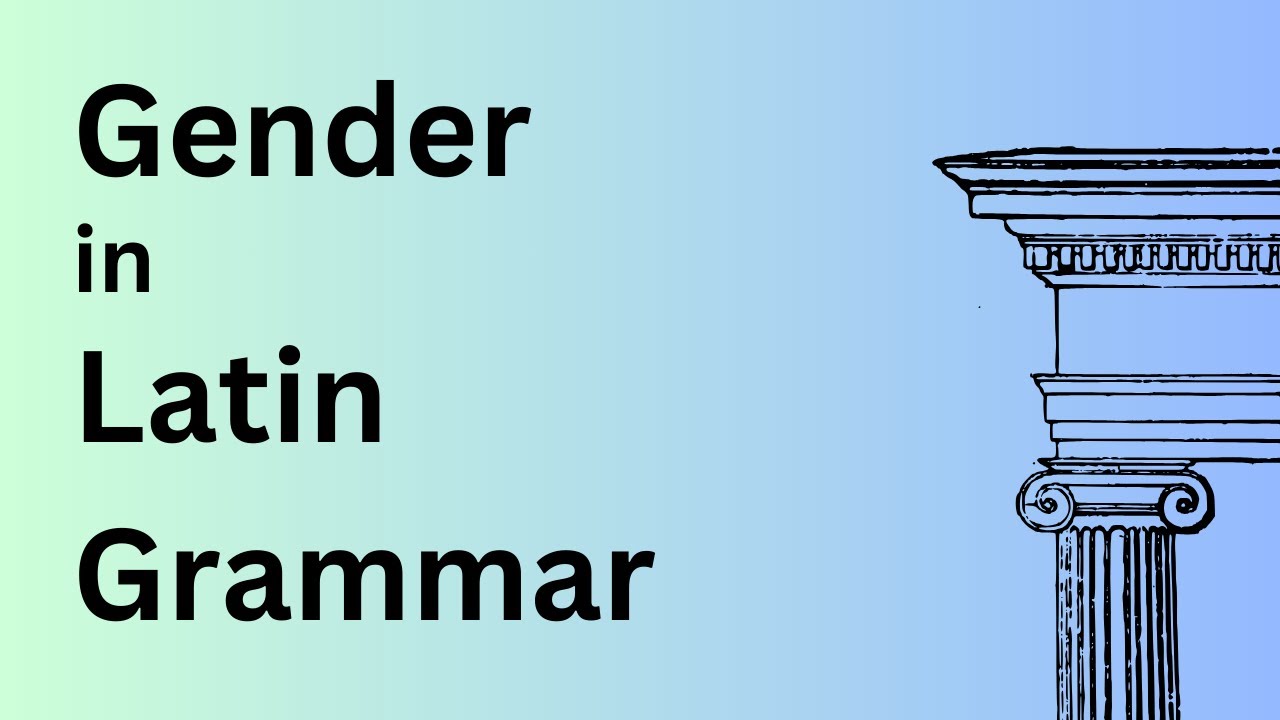 Gender in Latin Grammar . - YouTube