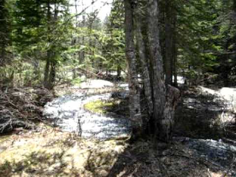 dobson trail riverview new brunswick spring time - YouTube