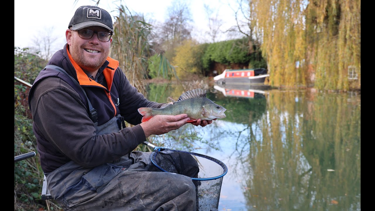 Perch fishing with lob worms on the pole. Kennet and Avon Canal ...