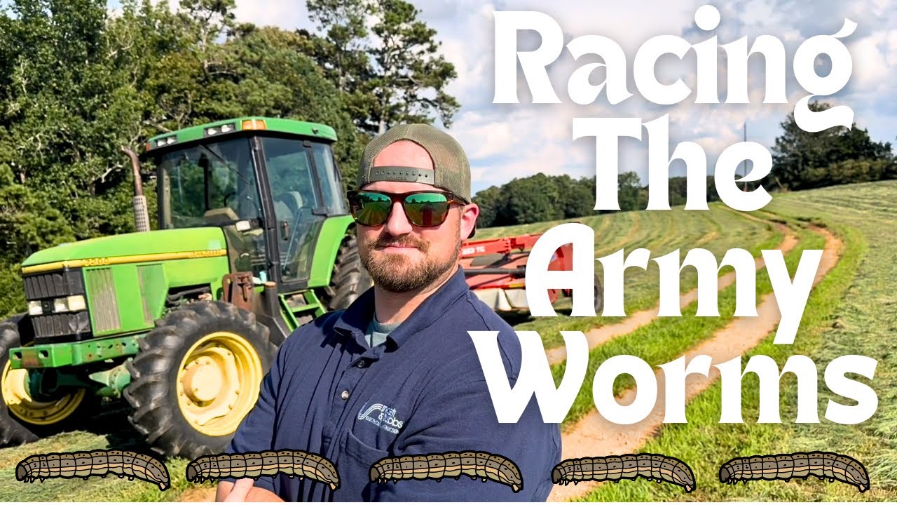 Racing The Army Worms! 🐛 🐛 - YouTube