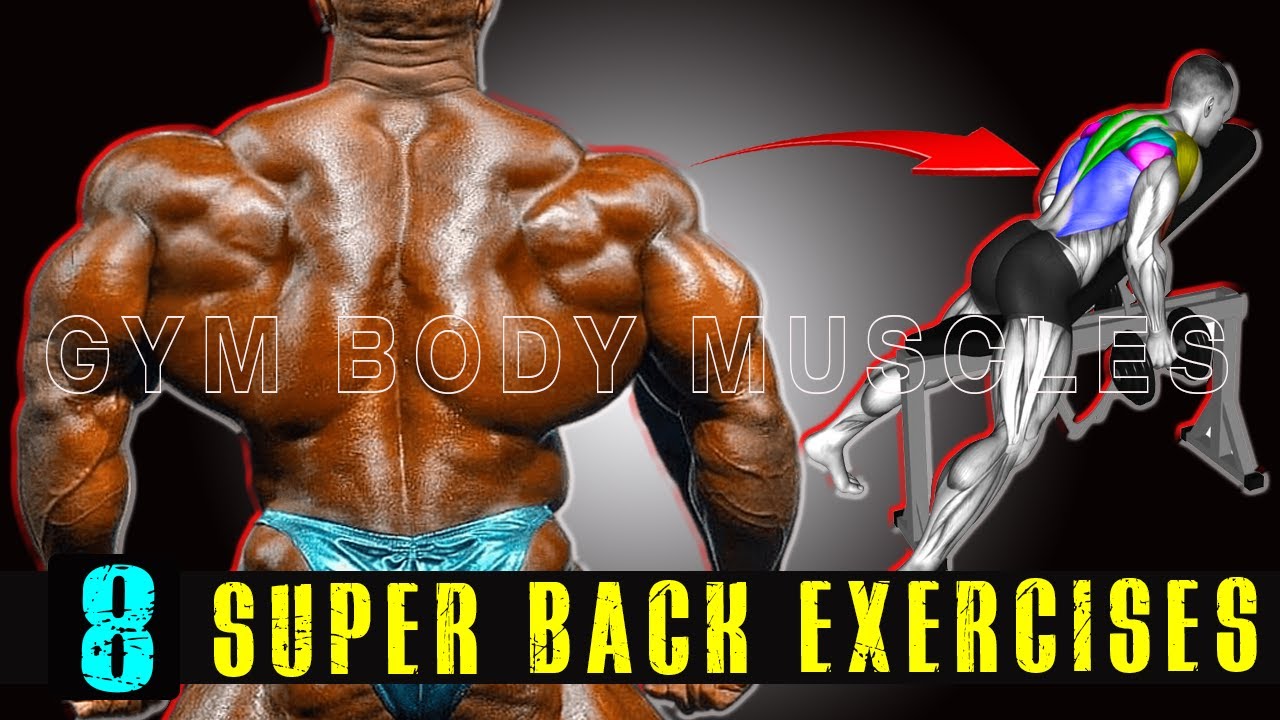 8 Super Exercises to Grow Wide Back Muscle - Gym Body Muscles - YouTube