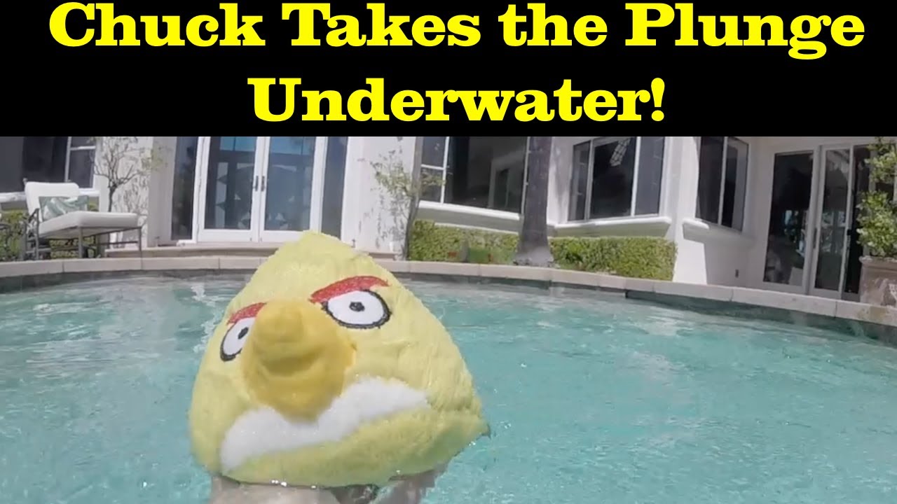 Chuck Takes the Plunge Underwater! - YouTube