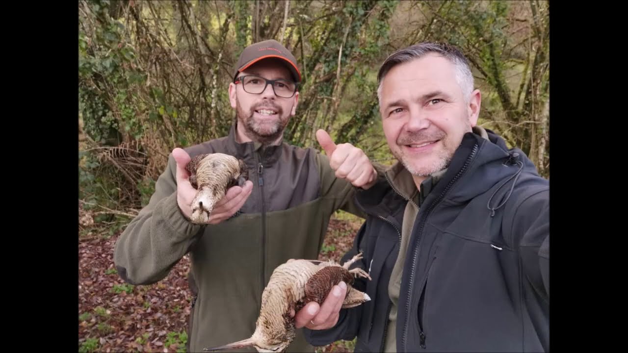 CHASSE A LA BECASSE superbe scène comme si vous étiez GoPro Hero 9 ...