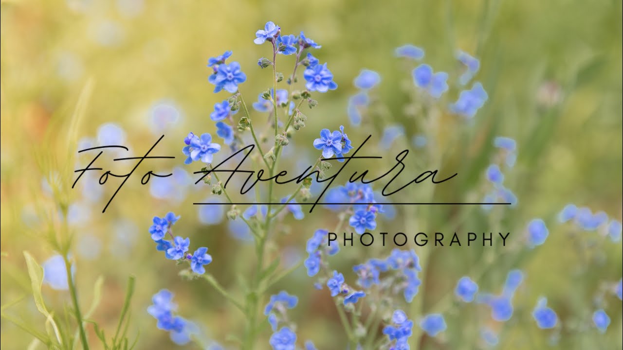 Intro video for foto aventura photography - serving DMV area - YouTube