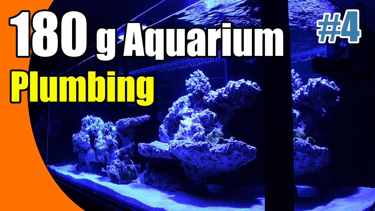 Bean Animal Overflow, 180 gal Tank Plumbing | Fish Room | 400g Reef ...