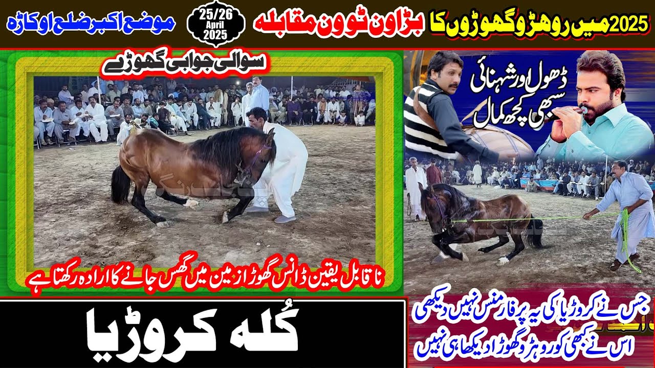 Kullah Karoria Unique Performance l 25 April 2025 l Horse Dance l Moza ...