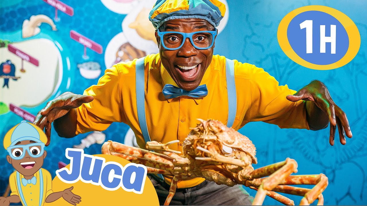 Juca Visita um Aquário! | 1 HORA DO JUCA BRASIL! | Blippi em Português ...