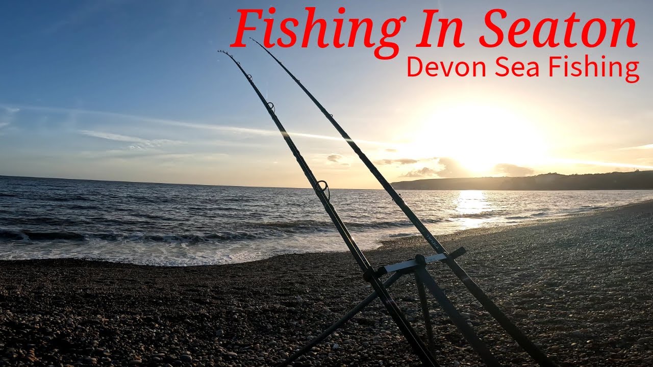 Fishing In Seaton | Shore Fishing UK | Devon Sea Angling | October 2024 ...