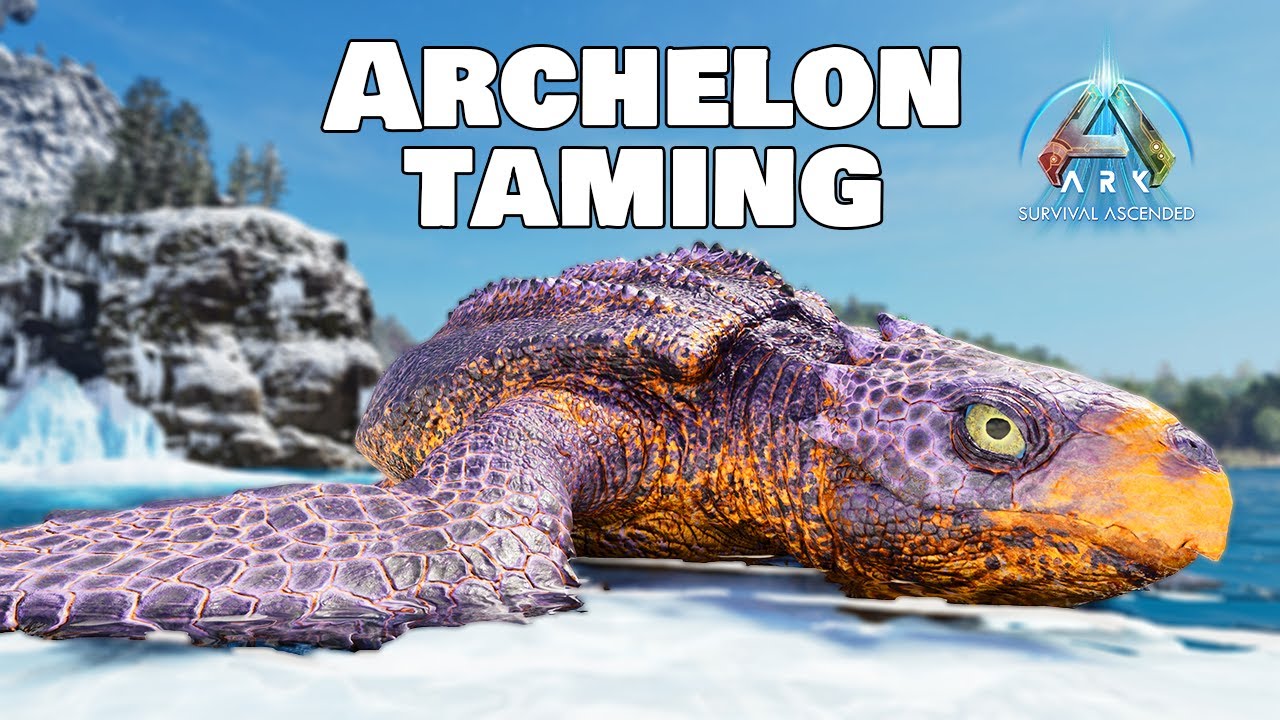 How to Tame An Archelon - Ark Survival Ascended. - YouTube