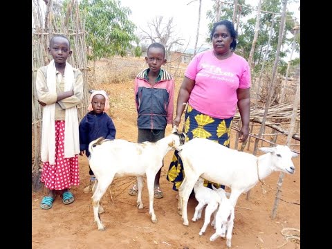 SMOAT Galla Goat Project Report Video - YouTube