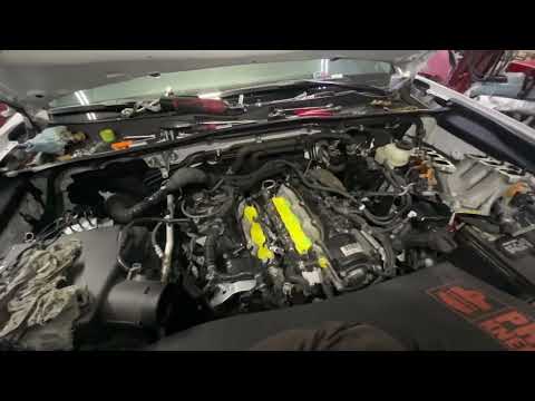 2021 Tacoma Rat damage knock sensor replace Escaped lab rats? - YouTube