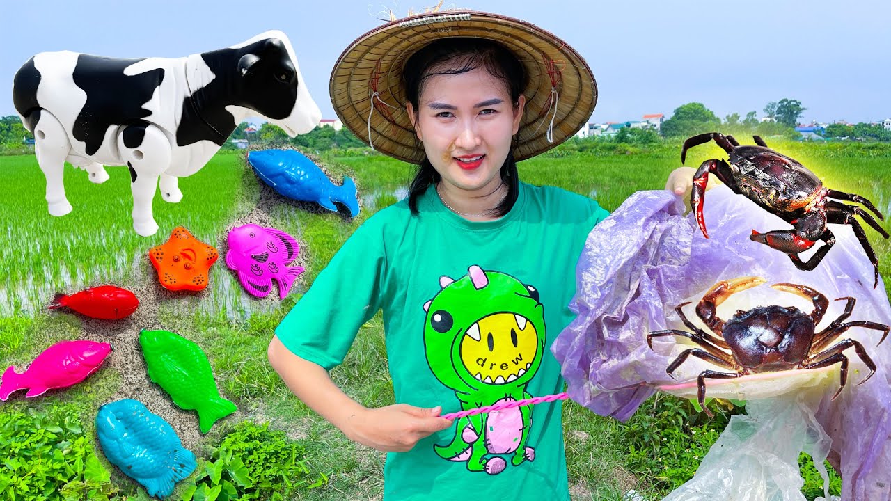 ChangCady xả rác và bài học vớt rác được con tôm, con cua, đồ chơi con ...