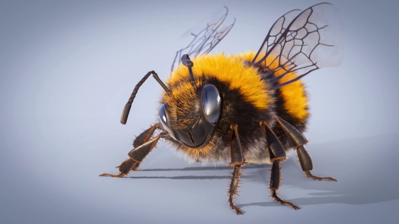 Bumblebee making of (Blender 2.8 and Substance Painter) - YouTube
