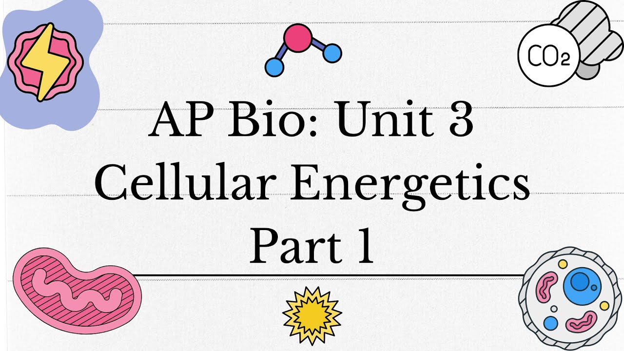 AP Bio: Unit 3 (Part 1): Cellular Energetics - YouTube