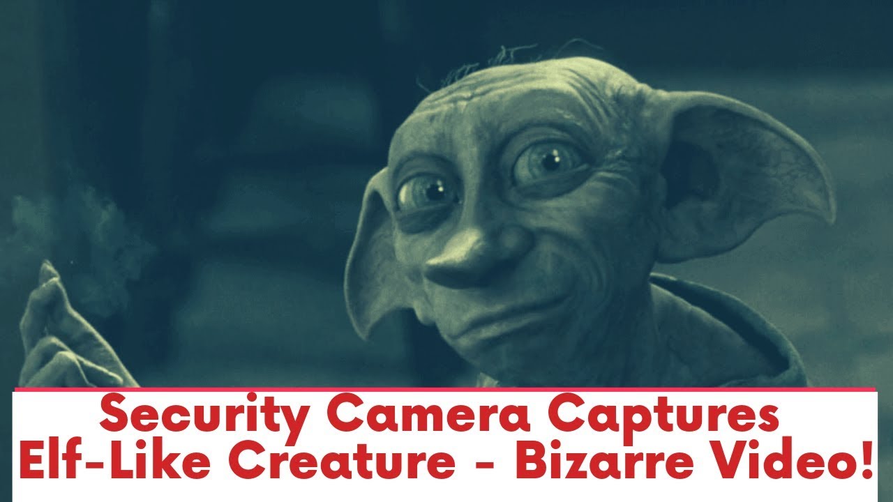 Security Camera Captures Elf-Like Creature - Bizarre Video! - YouTube