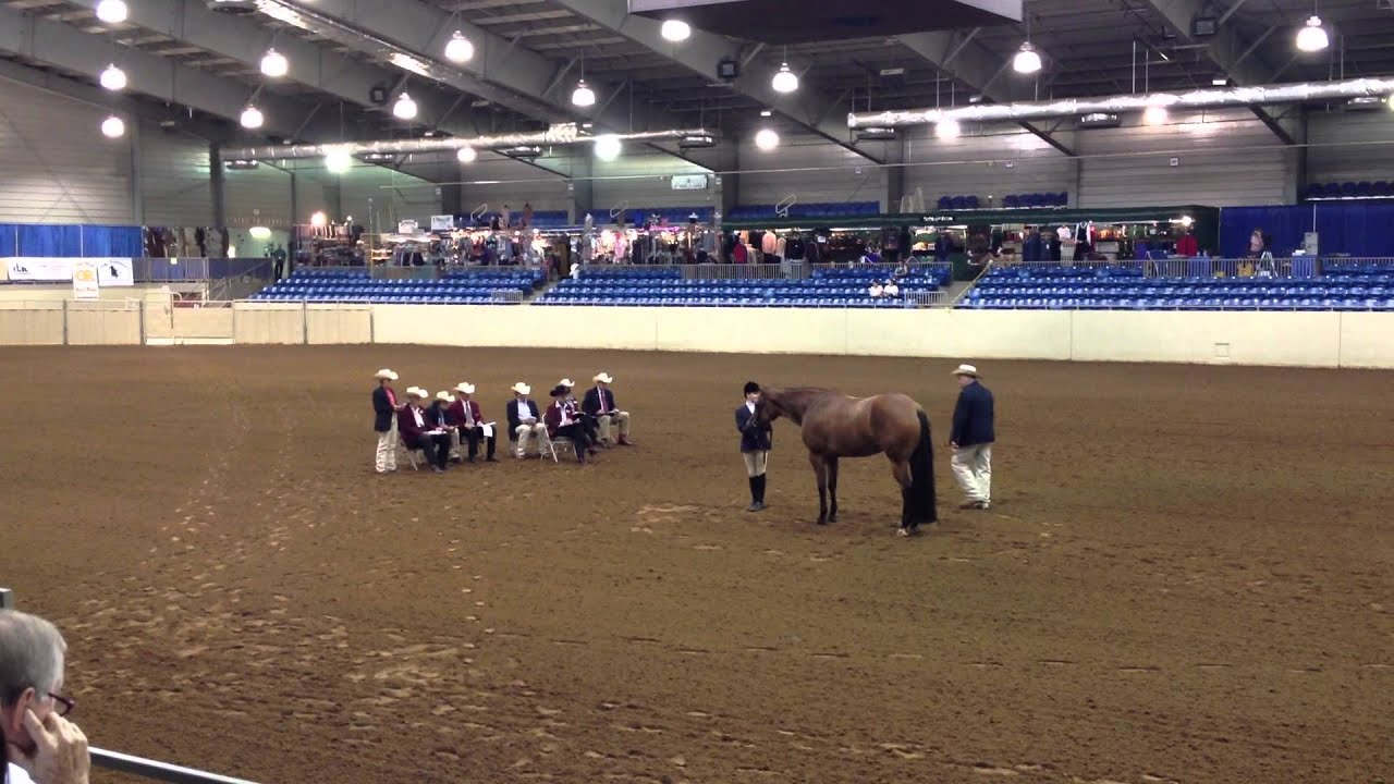 Katie/Jazzmin English Showmanship Nationals~7th - YouTube