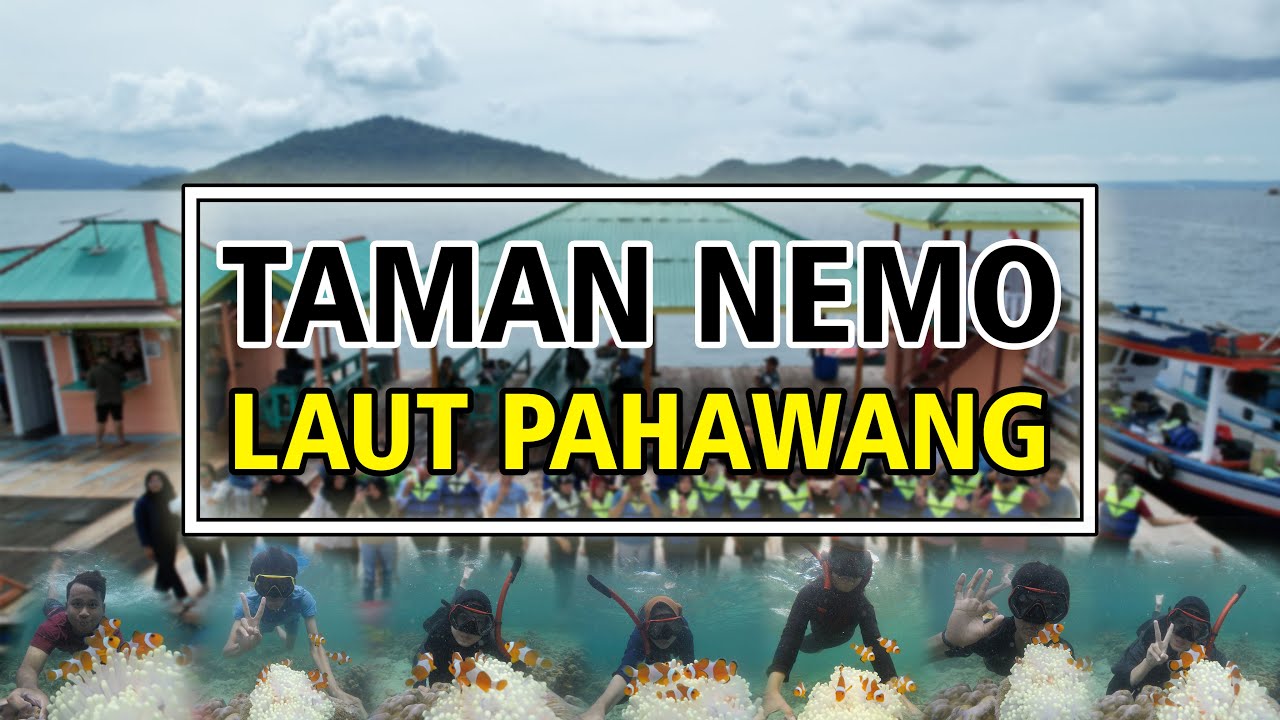 SNORKLING DI LAUT PAHAWANG - TAMAN NEMO PULAU PAHAWANG | ITech Academy ...
