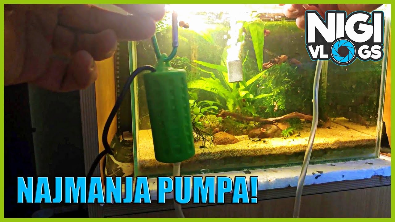 Najmanja Pumpa Za Vazduh - USB Vazdušna Pumpa Za Akvarijum #Akvaristika - YouTube