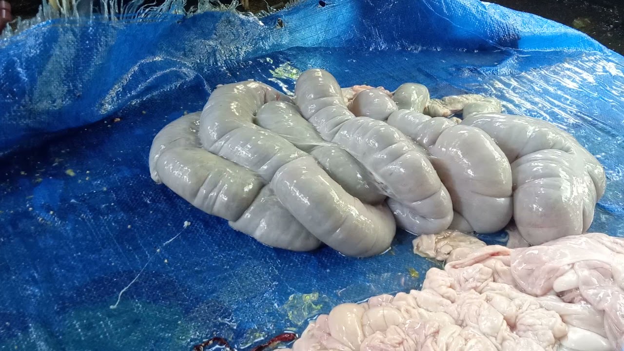 PAANO MAG LINIS NG BITUKA NG BABOY💪 - YouTube