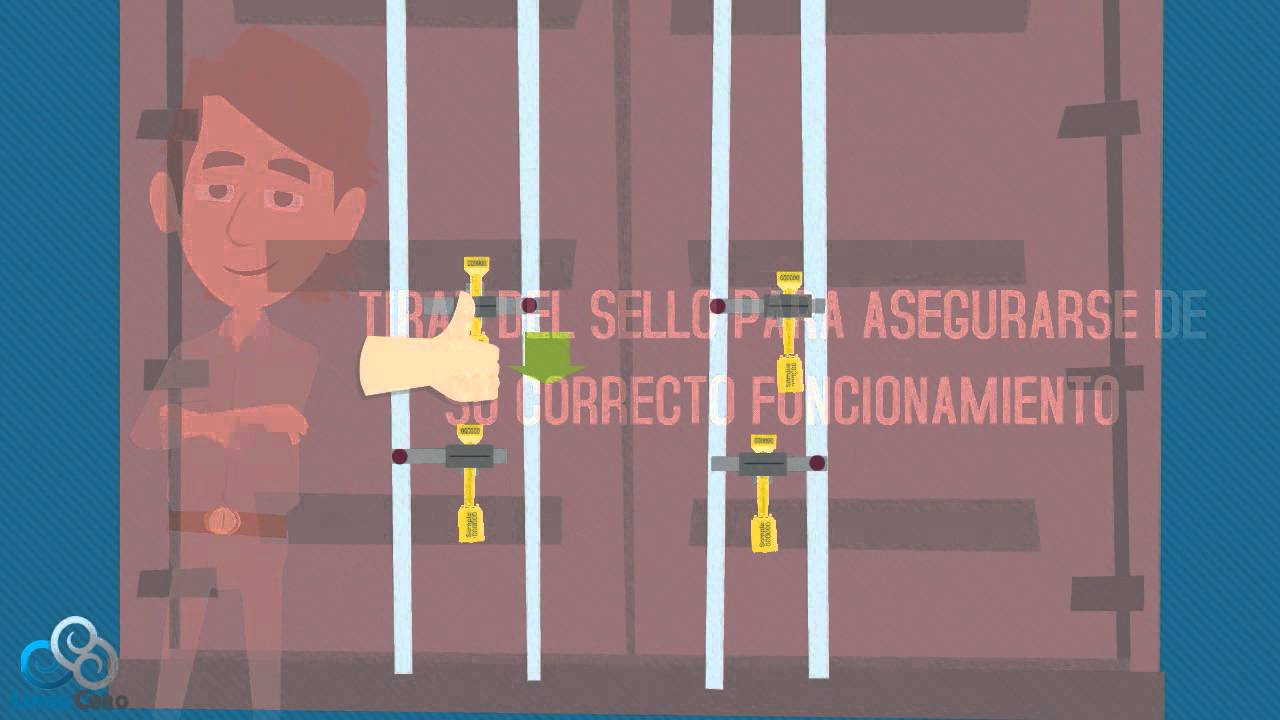 PROTOCOLO VVTT - YouTube