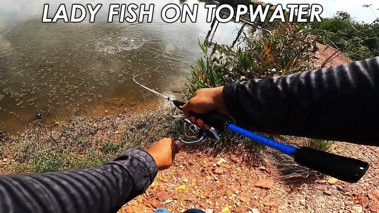 CASTING IKAN BANDANG@LADY FISH | ULTRALIGHT FISHING - YouTube