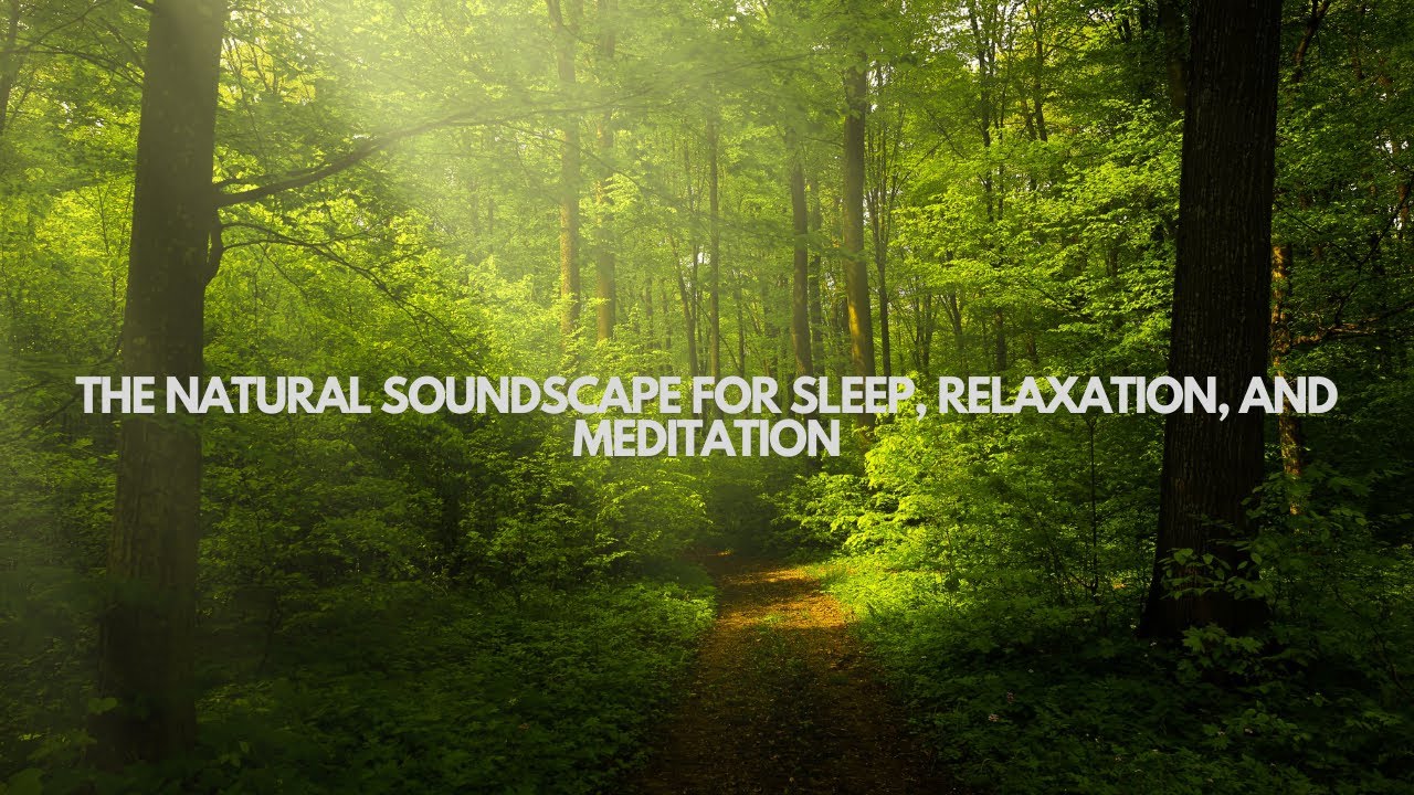 Sleep Easy with Nature's Soothing Sounds - YouTube