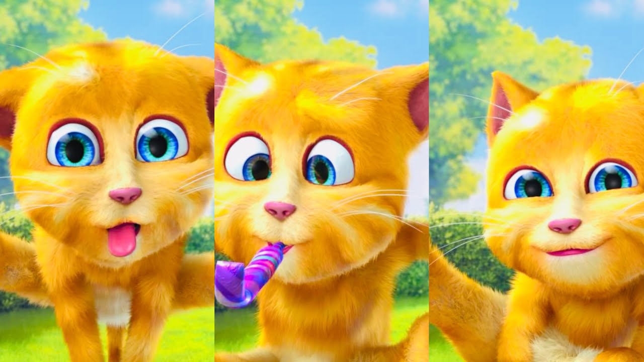 talking ginger funny cat my talking ginger cat episode 195 - YouTube
